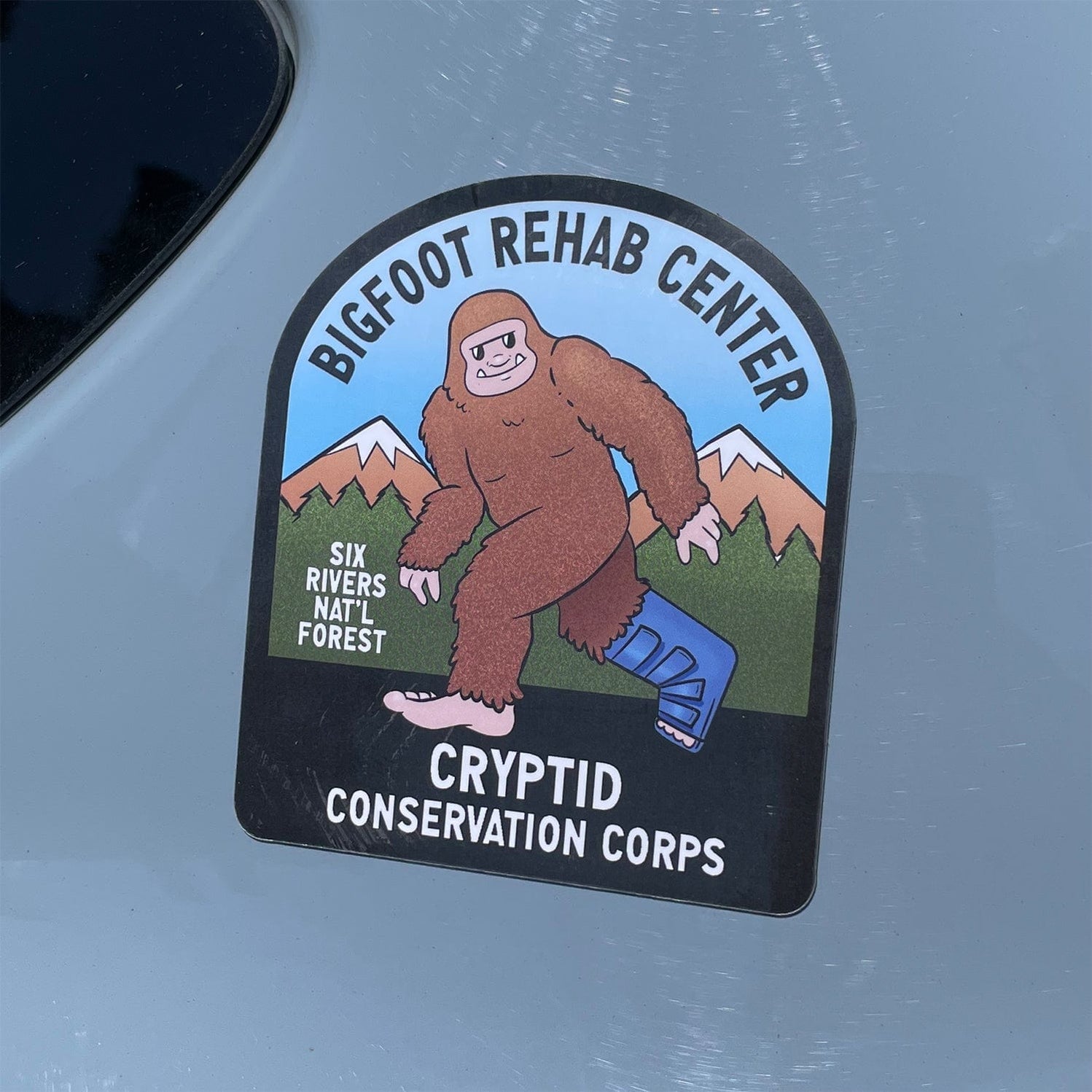 New arrivals — Dissent Pins