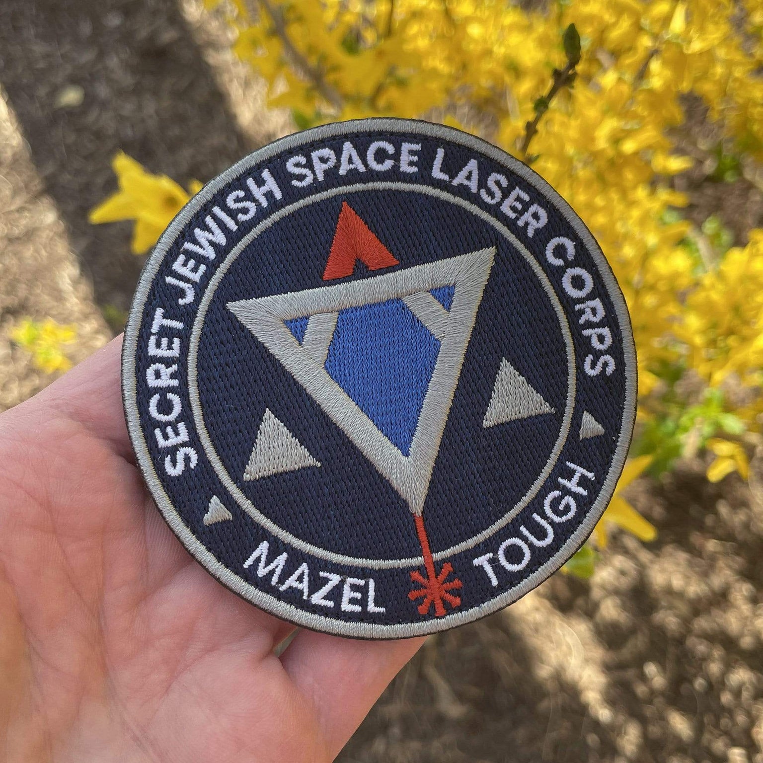 Secret Jewish Space Laser — Dissent Pins